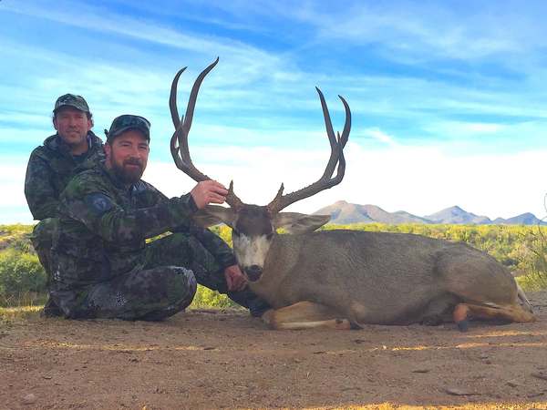 Desert Mule Deer