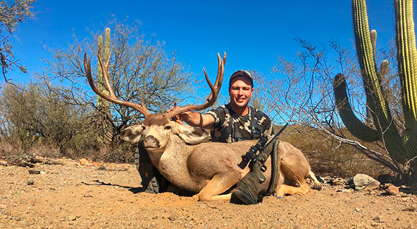 Desert Mule Deer