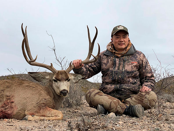 Desert Mule Deer