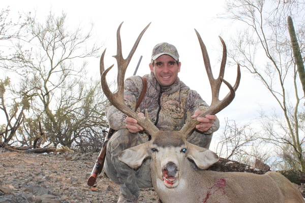 Desert Mule Deer