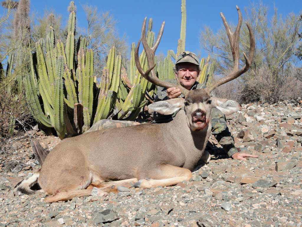 Desert Mule Deer 1 – Sierra Madre Hunting